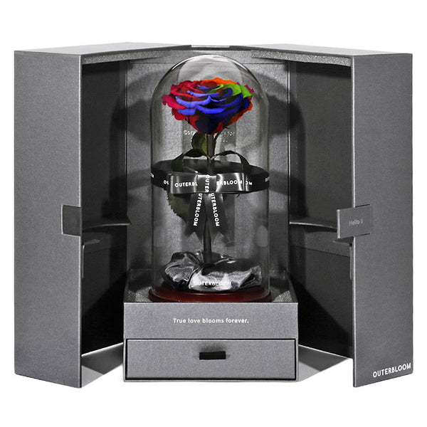 Jual The Novo Enchanted Dome - Magic Rainbow Harga Terbaik June 2025 ...